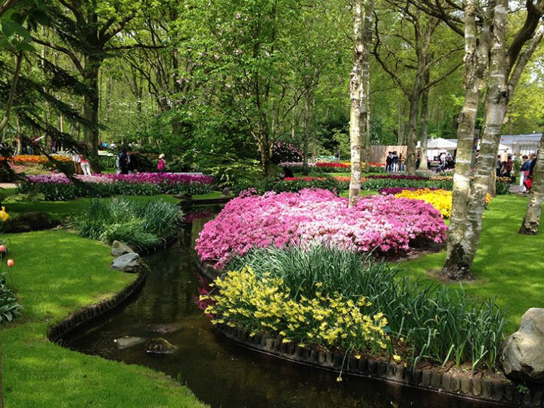 Keukenhof Gardens: 10 Practical Tips for the Tulip Fields » Maps & Bags