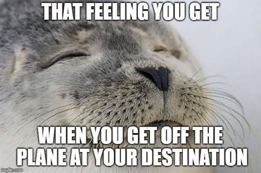 101 Funny Travel Memes: Most Hilarious Vacation Memes » Maps & Bags