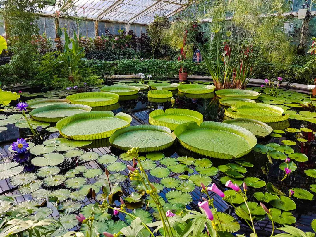 21 Best European Gardens You Need to Visit » Maps & Bags
